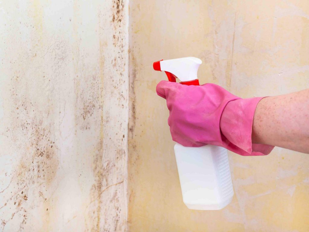 Understanding Ionizers: Their Function, Benefits & Drawbacks - Home Air ...