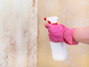 Understanding Ionizers: Their Function, Benefits & Drawbacks - Home Air ...