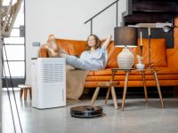 Understanding Ionizers: Their Function, Benefits & Drawbacks - Home Air ...