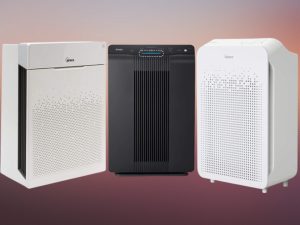 Understanding Ionizers: Their Function, Benefits & Drawbacks - Home Air ...