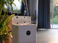 Understanding Ionizers: Their Function, Benefits & Drawbacks - Home Air ...