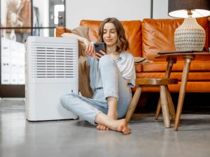 Understanding Ionizers: Their Function, Benefits & Drawbacks - Home Air ...